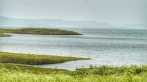 Payli - JabalpurWala